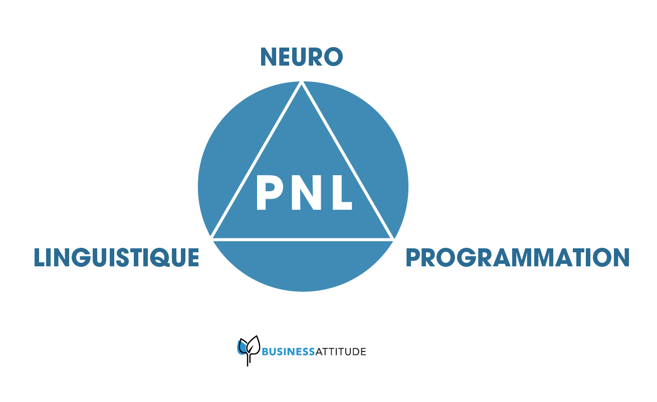 PNL : comment l'utiliser pour augmenter votre chiffre d'affaire ...